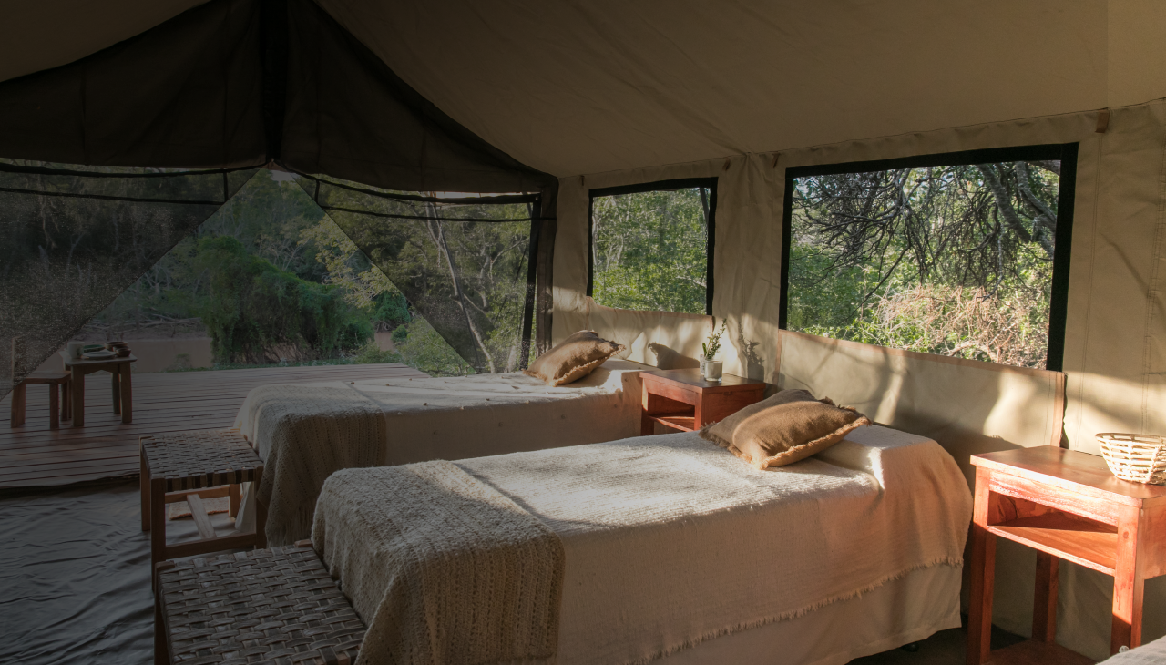 El Impenetrable – Chaco – Turismo para conservar la vida silvestre y ...